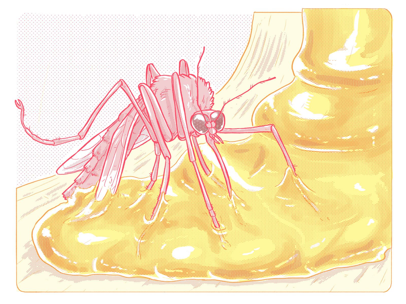 How a Fragile Insect Living 100 Million Years Ago Becomes a Fossil