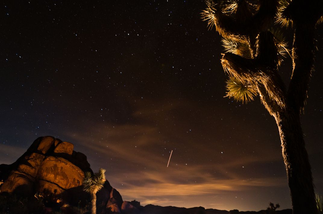 Star gazing at Joshua Tree National Park | Smithsonian Photo Contest ...