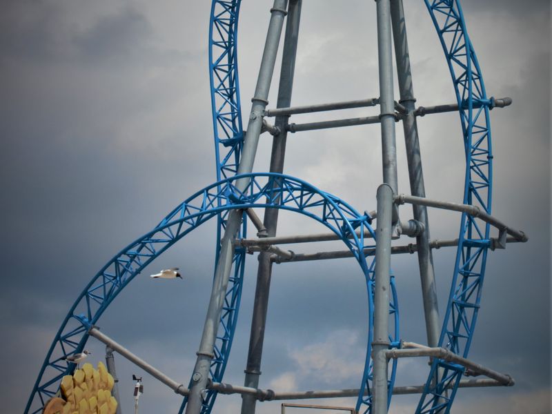 Roller Coaster as Sculpture | Smithsonian Photo Contest | Smithsonian ...
