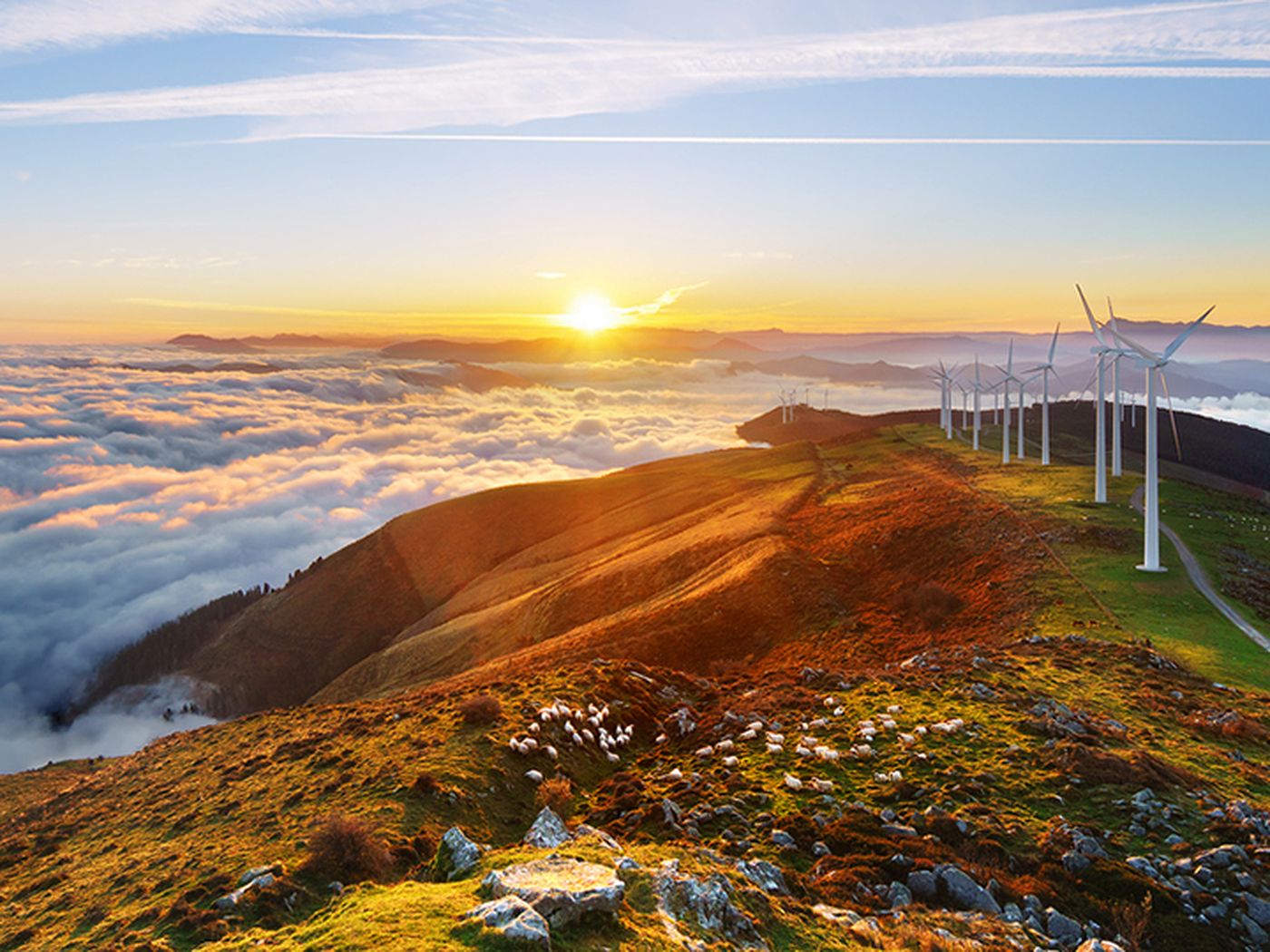 An Easy Way to Get Clean Energy—Without Rooftop Solar Panels ...