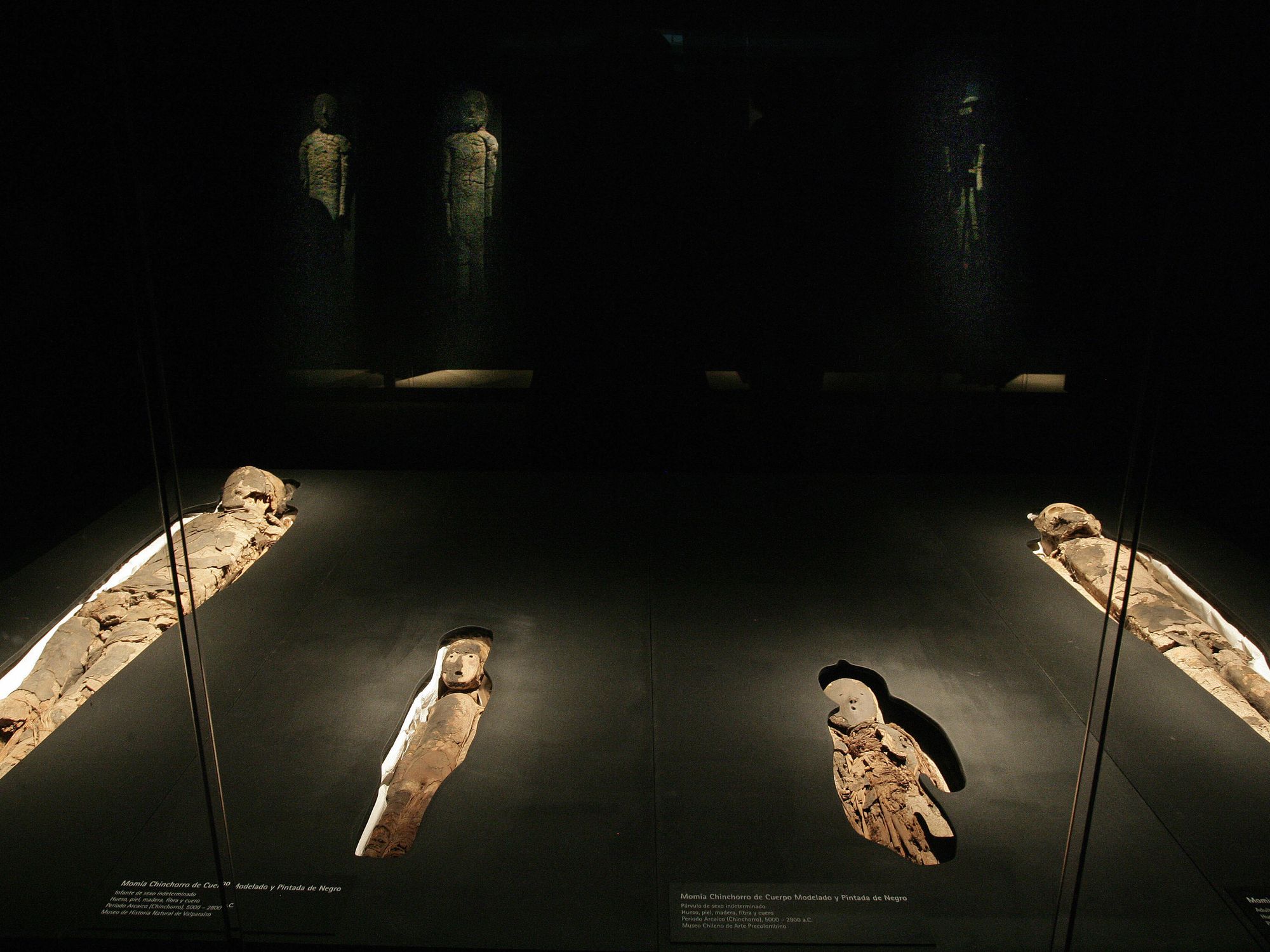 Can the World's Oldest Mummies Survive Climate Change and Other Threats ...