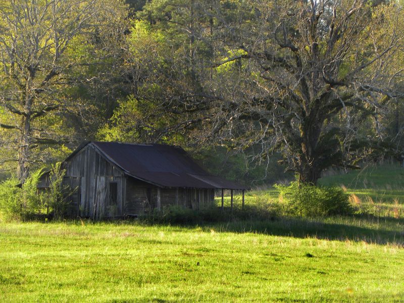 Abandoned shack in a field | Smithsonian Photo Contest | Smithsonian ...