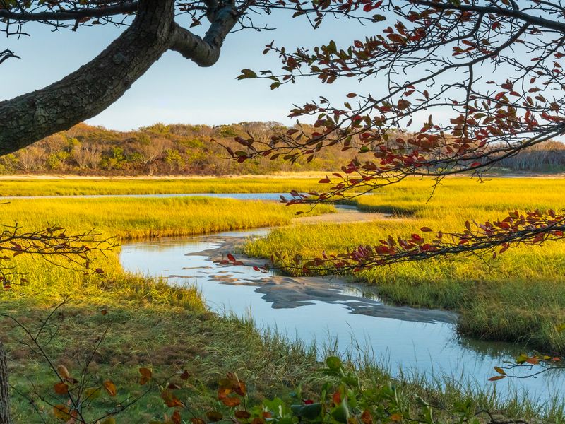 Cape Cod Autumn | Smithsonian Photo Contest | Smithsonian Magazine
