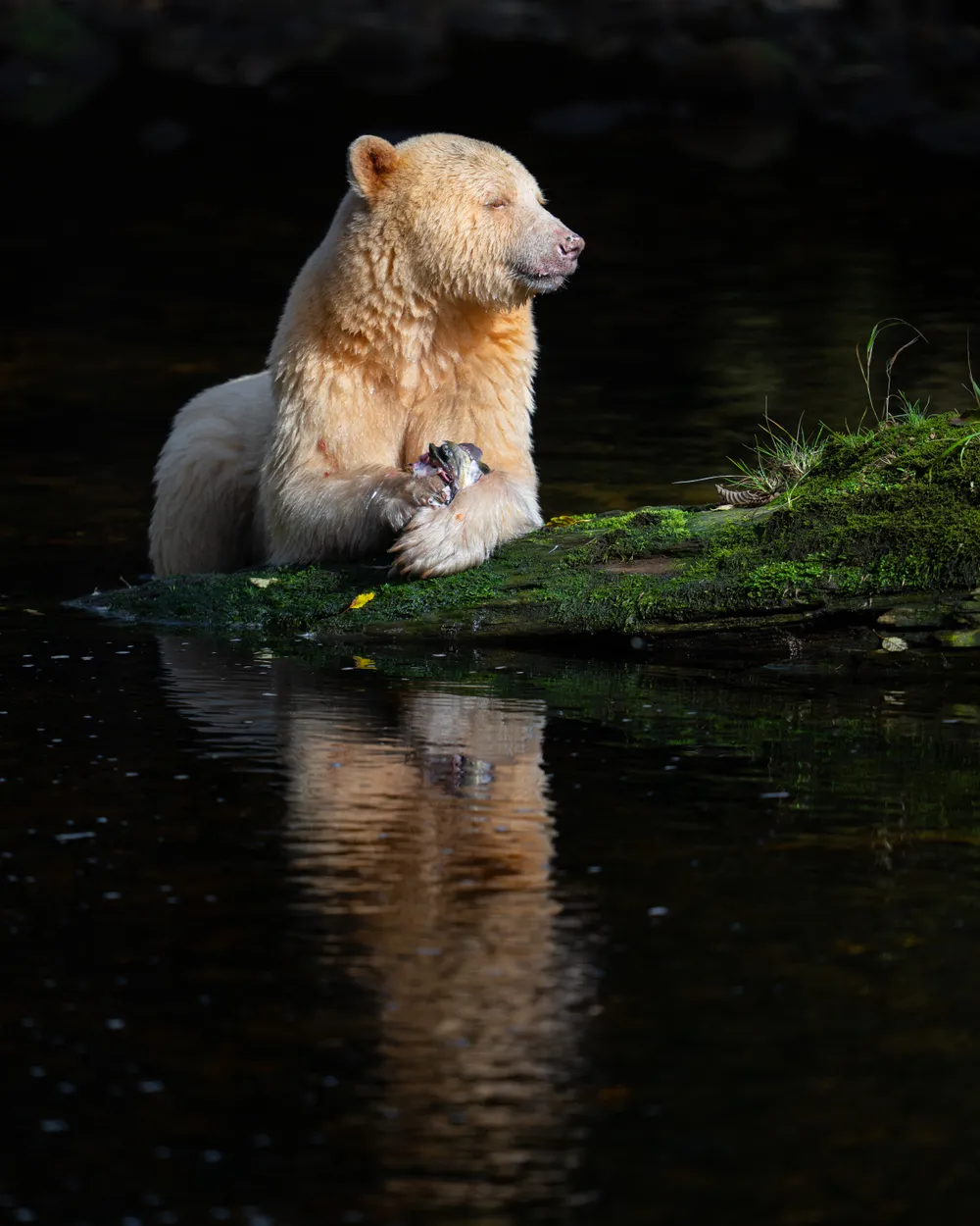 Smithsonian Magazine Daily Newsletter