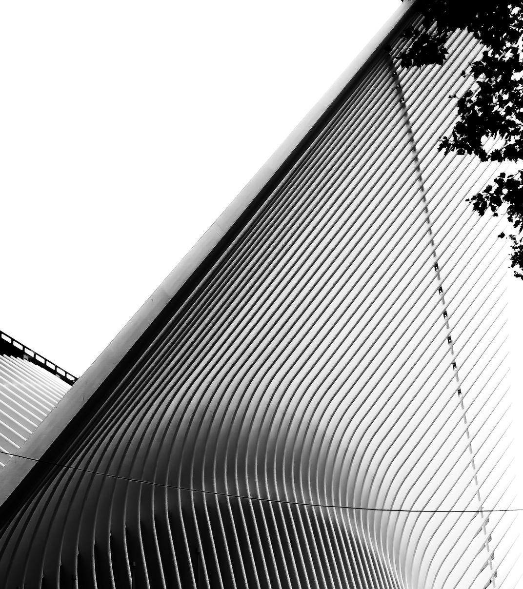 Oculus Abstracted | Smithsonian Photo Contest | Smithsonian Magazine