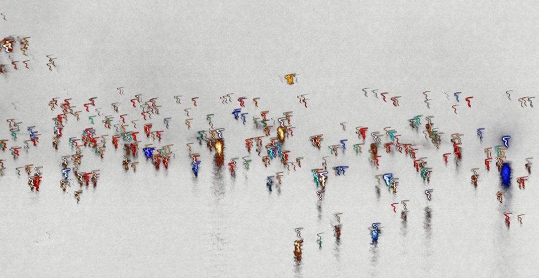 Skating Birds | Smithsonian Photo Contest | Smithsonian Magazine