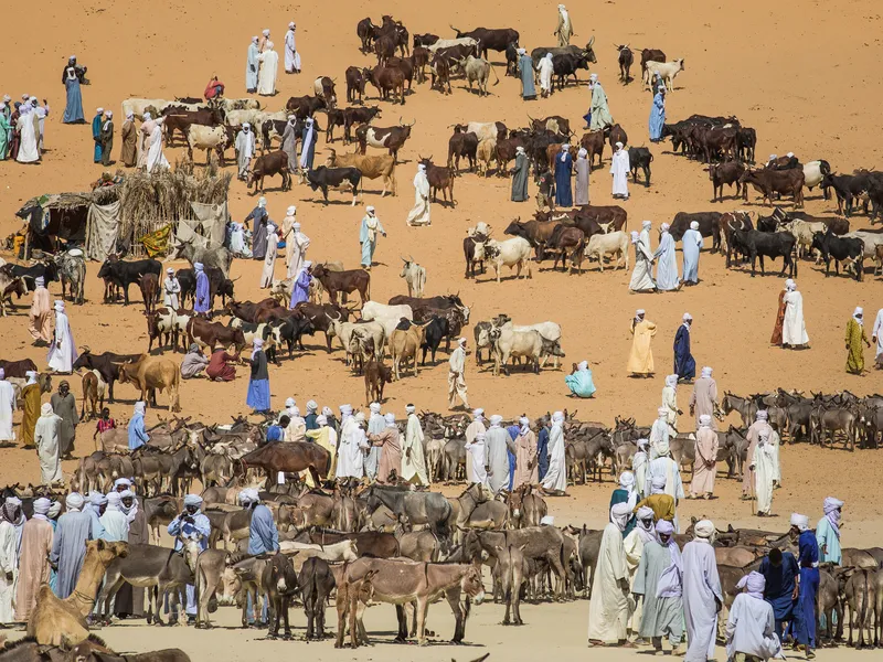 Market Day in Chad | Smithsonian Photo Contest | Smithsonian Magazine
