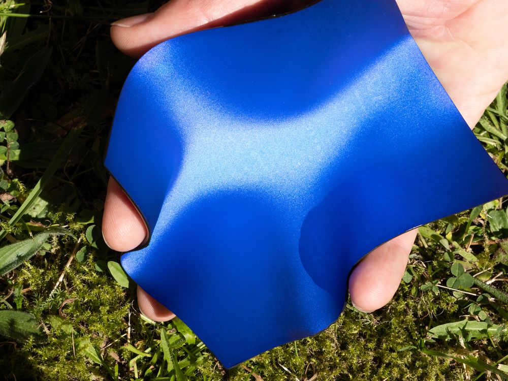 This British Zoologist Wants to Reinvent Color