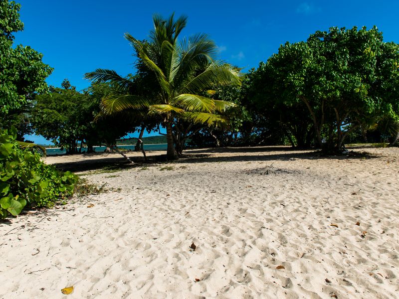 shady beach | Smithsonian Photo Contest | Smithsonian Magazine