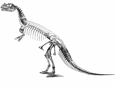 Articles: News & Features | Smithsonian Magazine