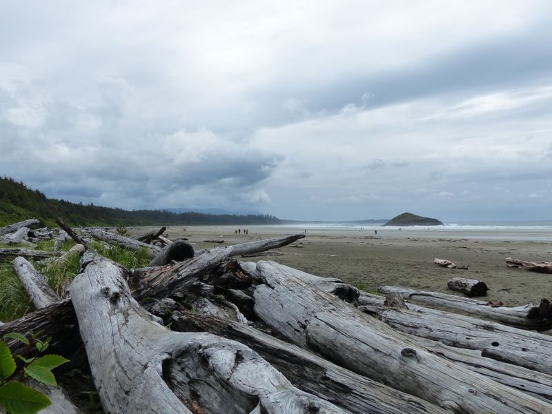 Pacific Rim National Park Reserve | Smithsonian Photo Contest ...