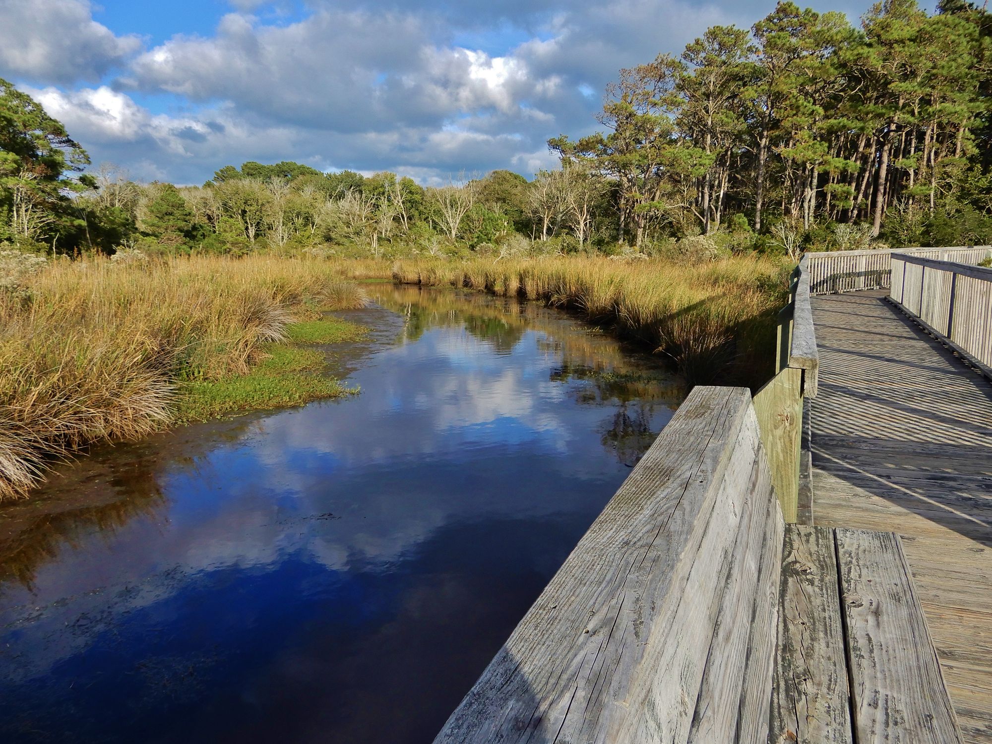 Hot, Fresh & Flooded: These Wetlands Spew Out the Most Methane ...