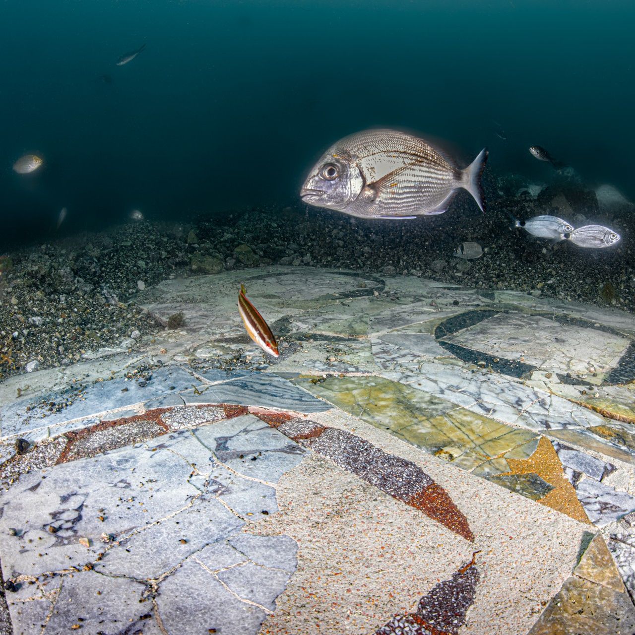 Underwater Mosaic Patterns Free Underwater Mosaic Pattern Image