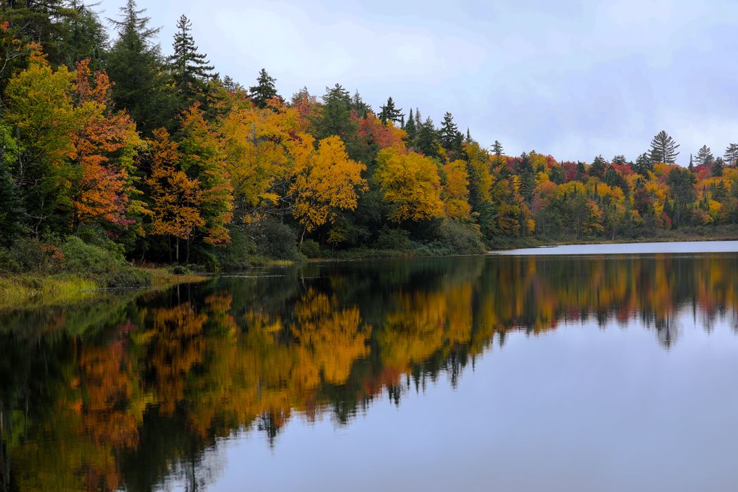 Fall colors in Adirondack State Park | Smithsonian Photo Contest ...