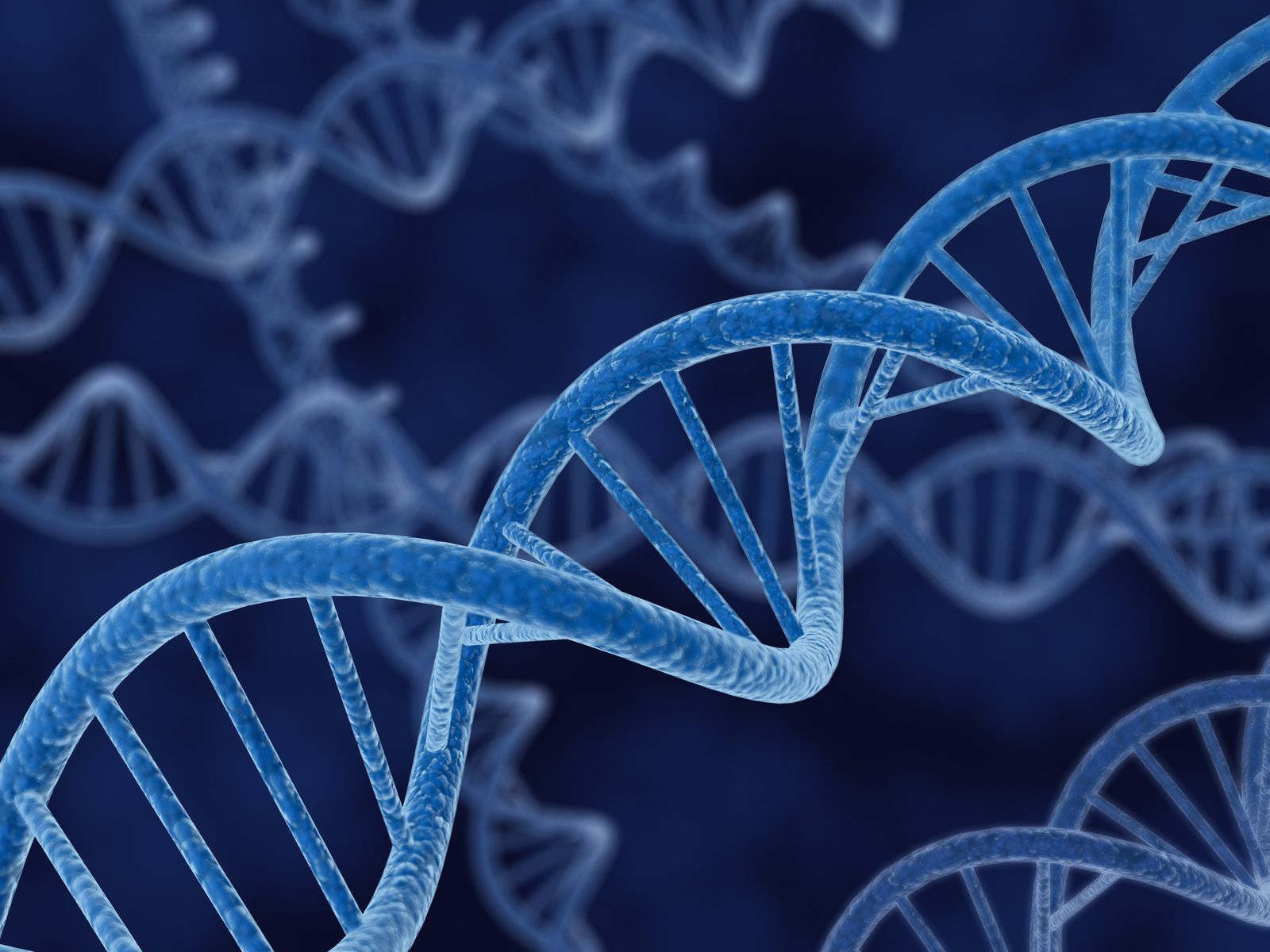 Google Researchers Say Their New A.I. Tool AlphaGenome Can Help Decode ...
