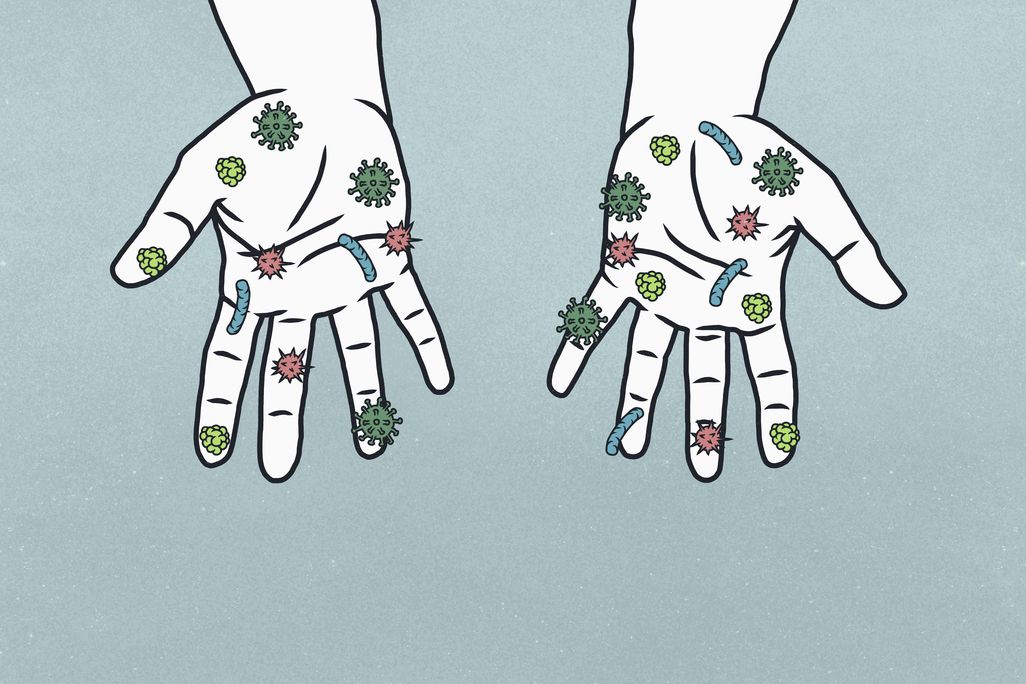 microorganisms on hands