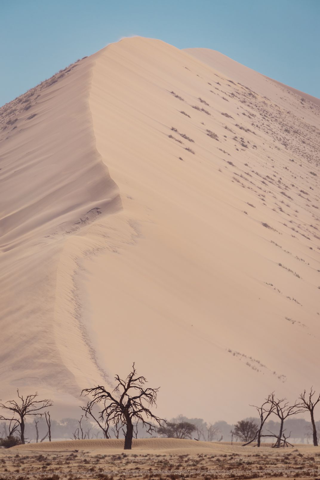 The Namib desert | Smithsonian Photo Contest | Smithsonian Magazine