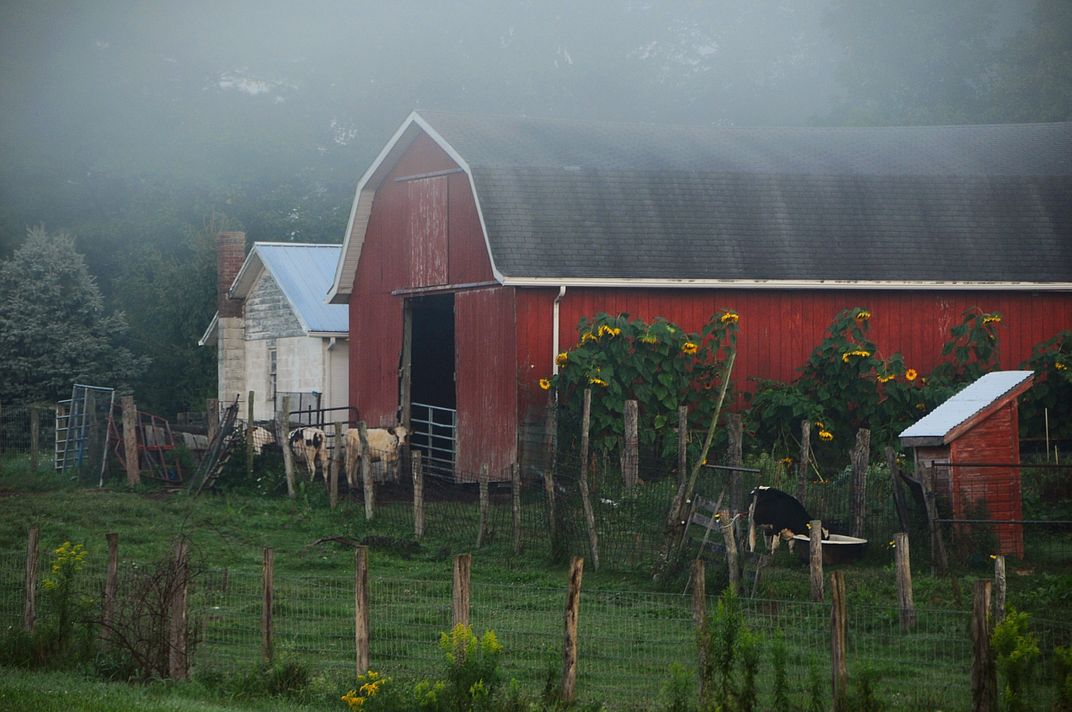 Farm Setting | Smithsonian Photo Contest | Smithsonian Magazine