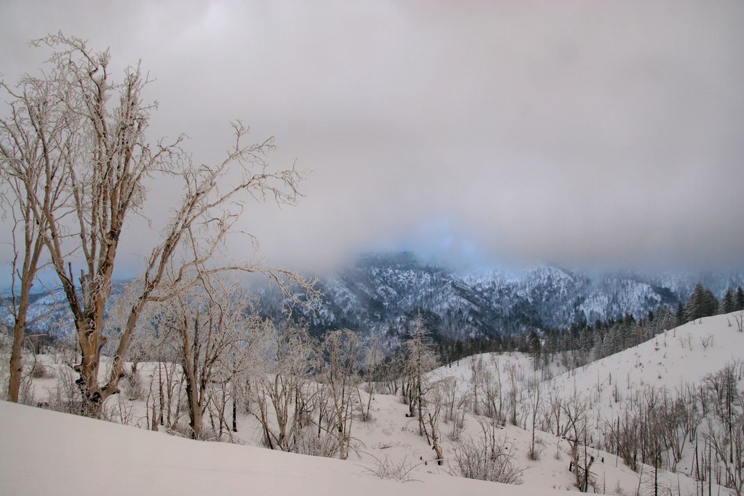 I stood in about four feet of snow waiting for this moment to come. As ...