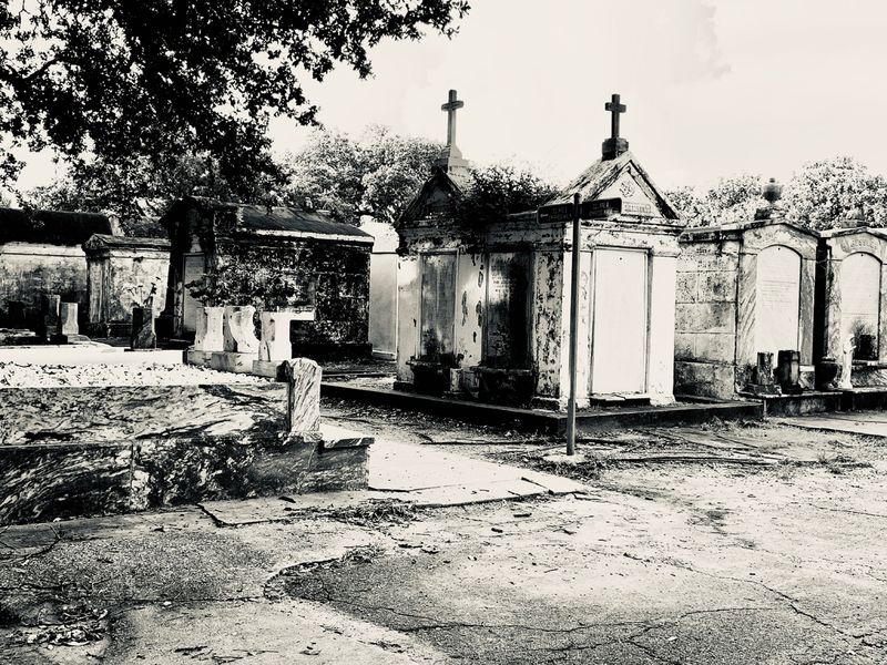 NOLA cemetery | Smithsonian Photo Contest | Smithsonian Magazine