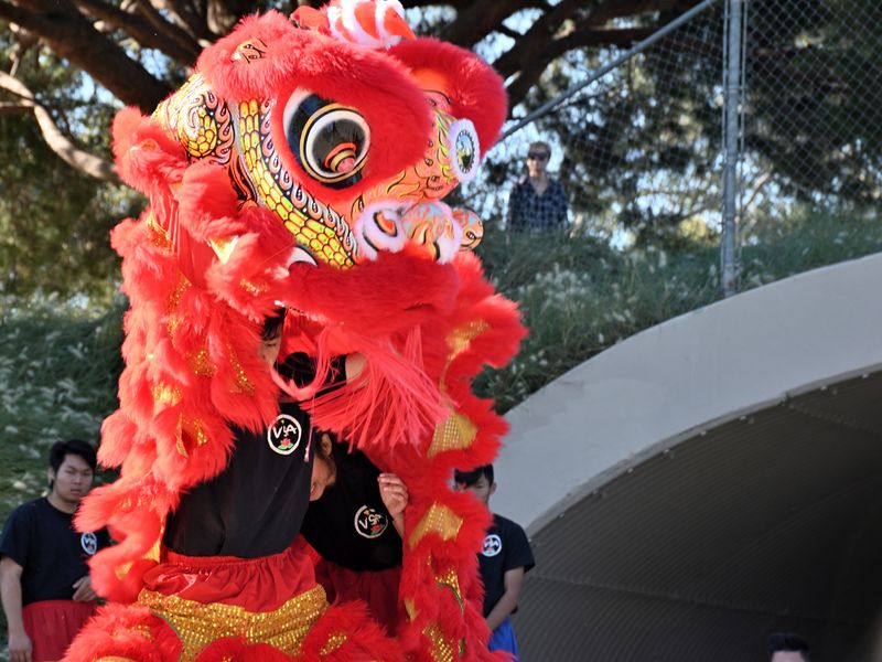 Lion Dance | Smithsonian Photo Contest | Smithsonian Magazine