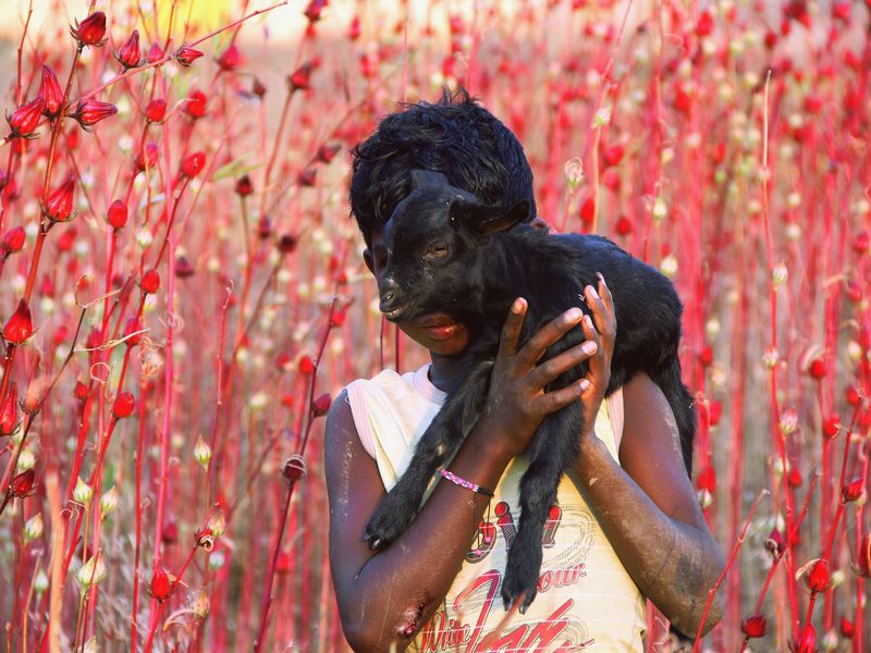 Third Eye | Smithsonian Photo Contest | Smithsonian Magazine