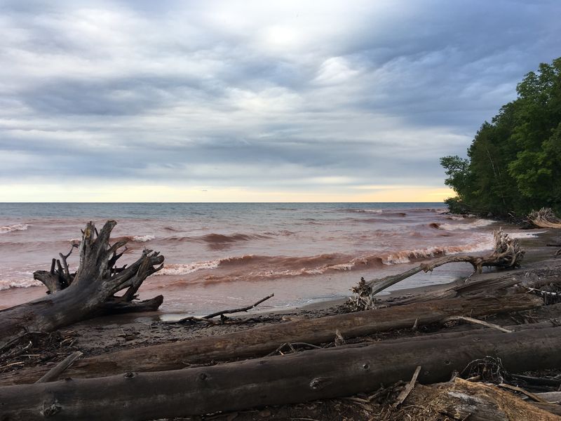 Sky, sea, woods, and shore | Smithsonian Photo Contest | Smithsonian ...