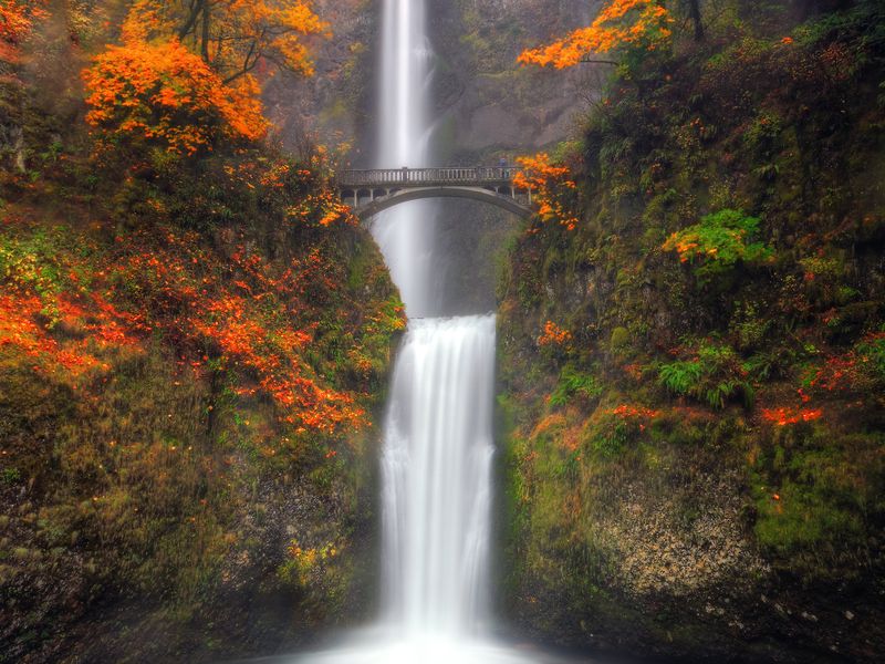 Multnomah Falls with autumn colors | Smithsonian Photo Contest ...