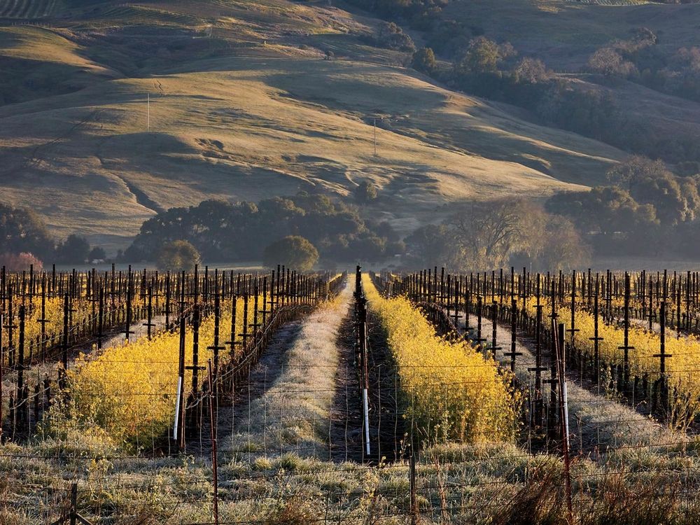 This Secret Corner of California Is a Paradise for Lovers of Great Food ...