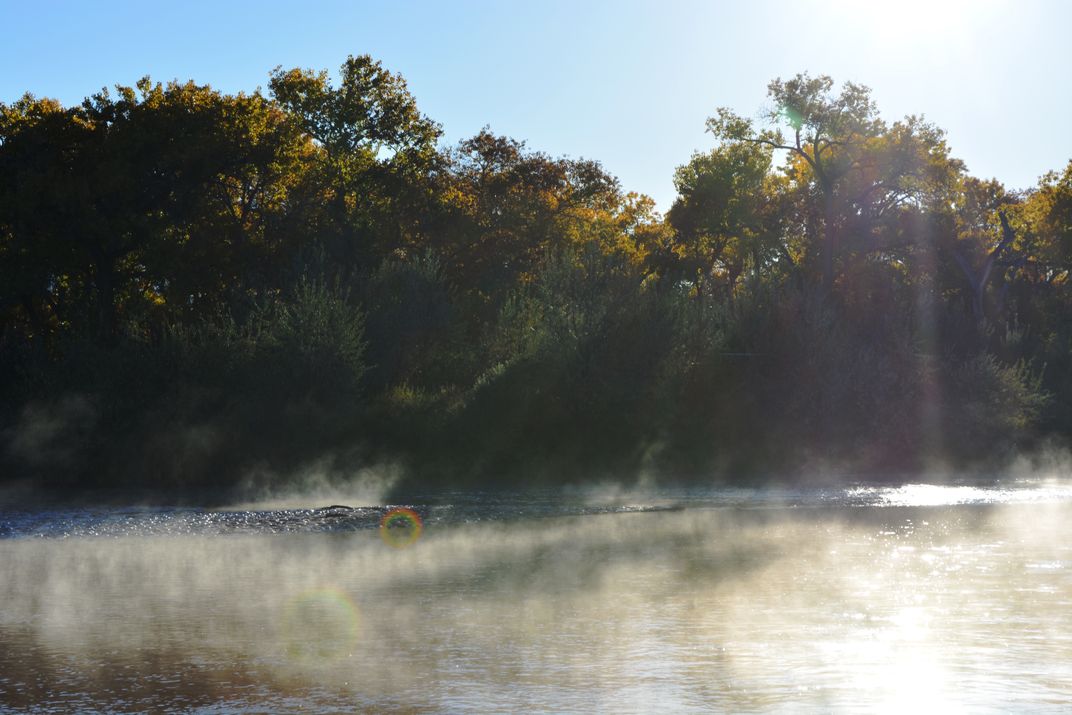 Colors on the Rio Grande | Smithsonian Photo Contest | Smithsonian Magazine