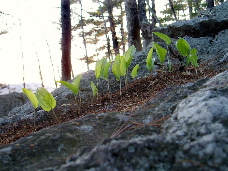 Living Rock | Smithsonian Photo Contest | Smithsonian Magazine