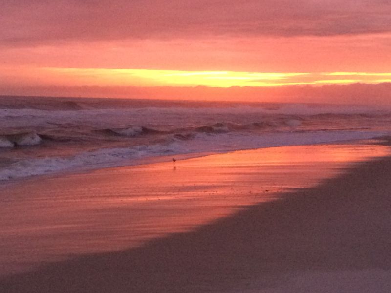 Alabama Sunset | Smithsonian Photo Contest | Smithsonian Magazine