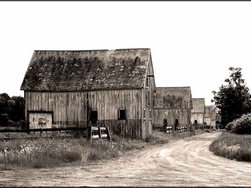 Old Horse Barns | Smithsonian Photo Contest | Smithsonian Magazine