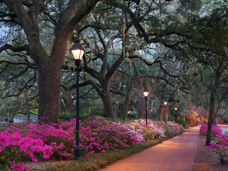 Forsyth Park west end. | Smithsonian Photo Contest | Smithsonian Magazine