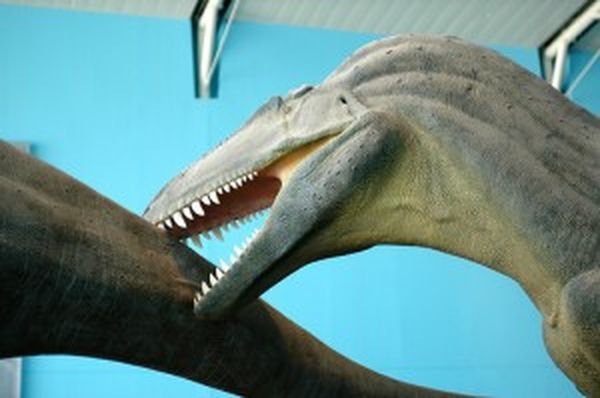 Maryland’s New Dinosaur Park