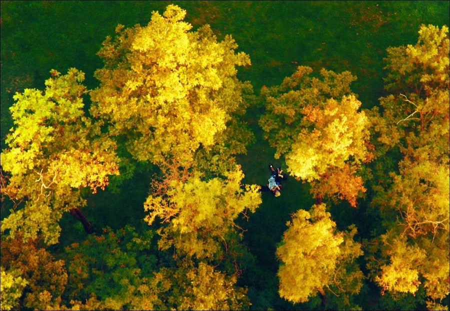 Best Autumn Photographs from the Last Ten Years of Photo Contests