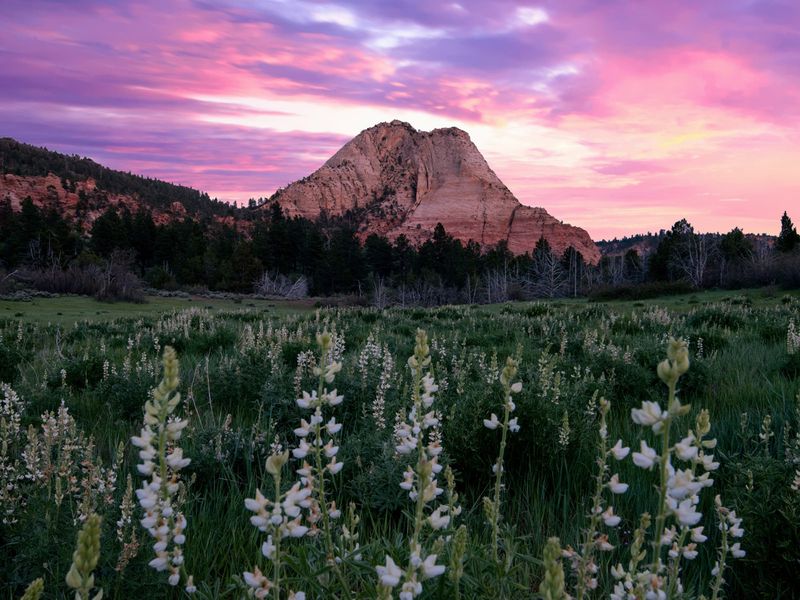 Eternal Sunrise | Smithsonian Photo Contest | Smithsonian Magazine
