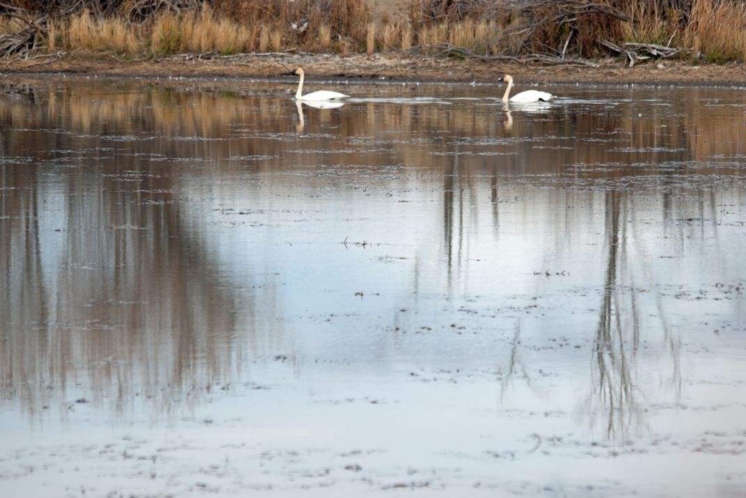 October Drive Surprise. | Smithsonian Photo Contest | Smithsonian Magazine