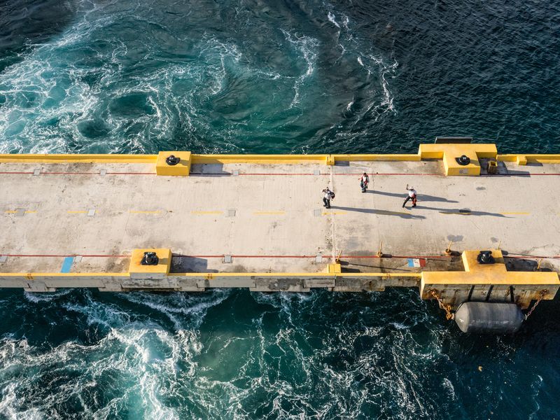 The Goodbye Crew | Smithsonian Photo Contest | Smithsonian Magazine