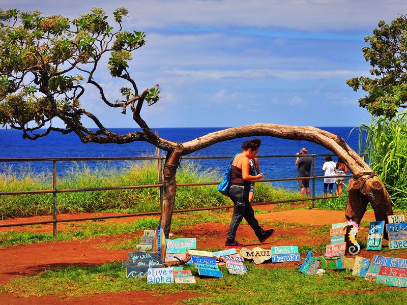 Bowing tree | Smithsonian Photo Contest | Smithsonian Magazine