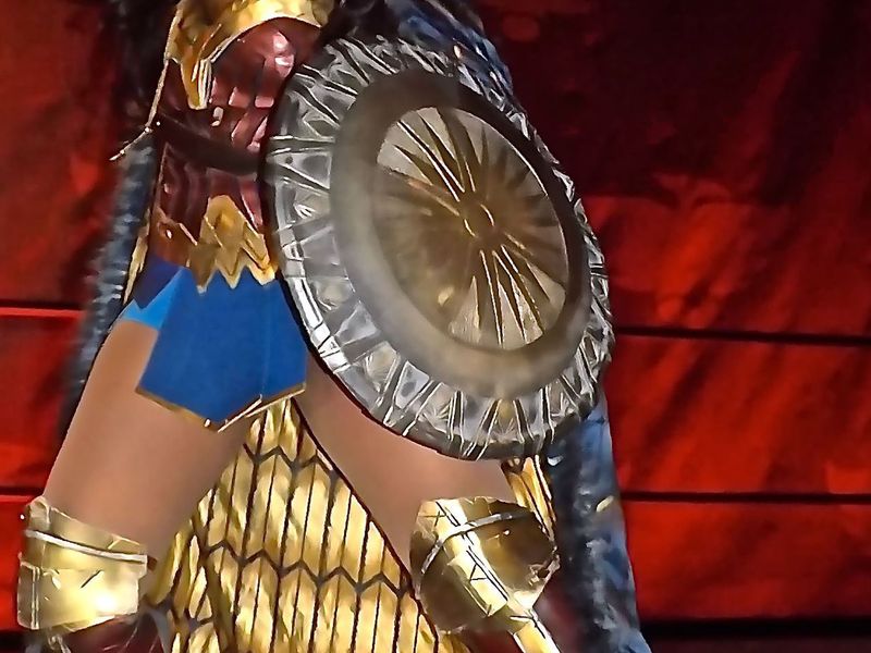 "The Amazon: Wonder Woman" | Smithsonian Photo Contest | Smithsonian ...