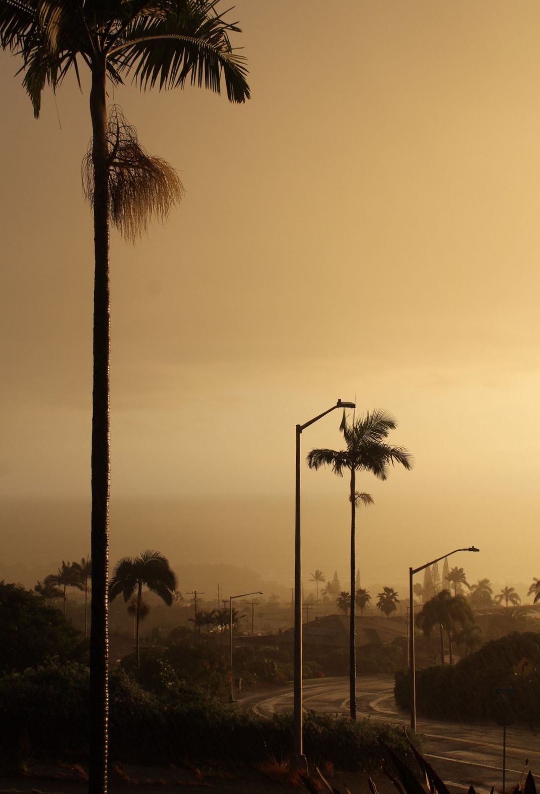 Rain in Honey Light | Smithsonian Photo Contest | Smithsonian Magazine
