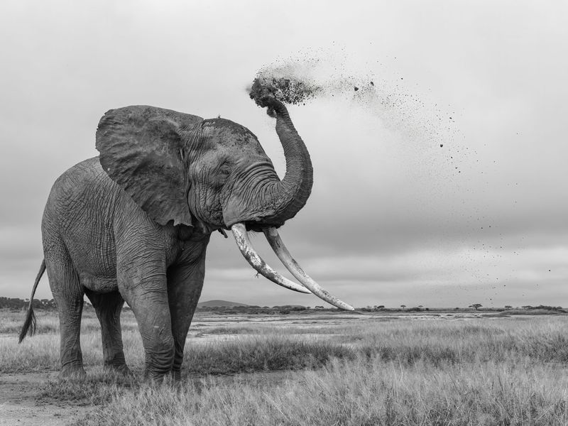Mudslinger | Smithsonian Photo Contest | Smithsonian Magazine