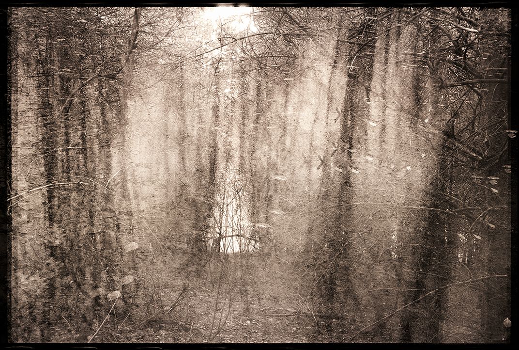 multiple photographs taken in camera by chance operations then printed ...