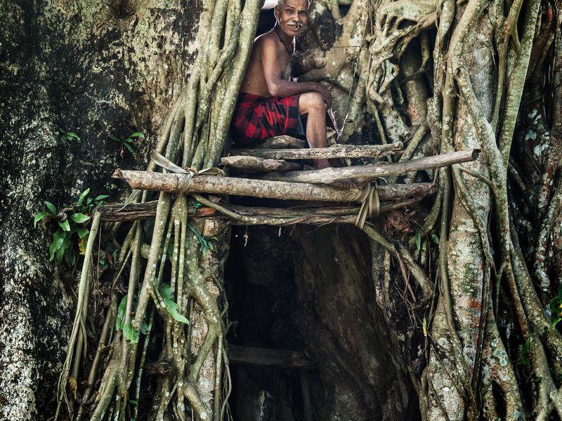 The tree man | Smithsonian Photo Contest | Smithsonian Magazine