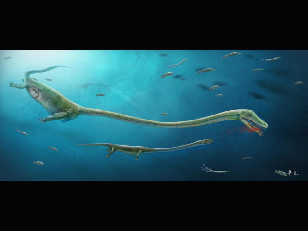 This Ancient Reptile Gave Birth to Live Offspring