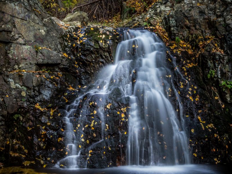 Golden Falls | Smithsonian Photo Contest | Smithsonian Magazine