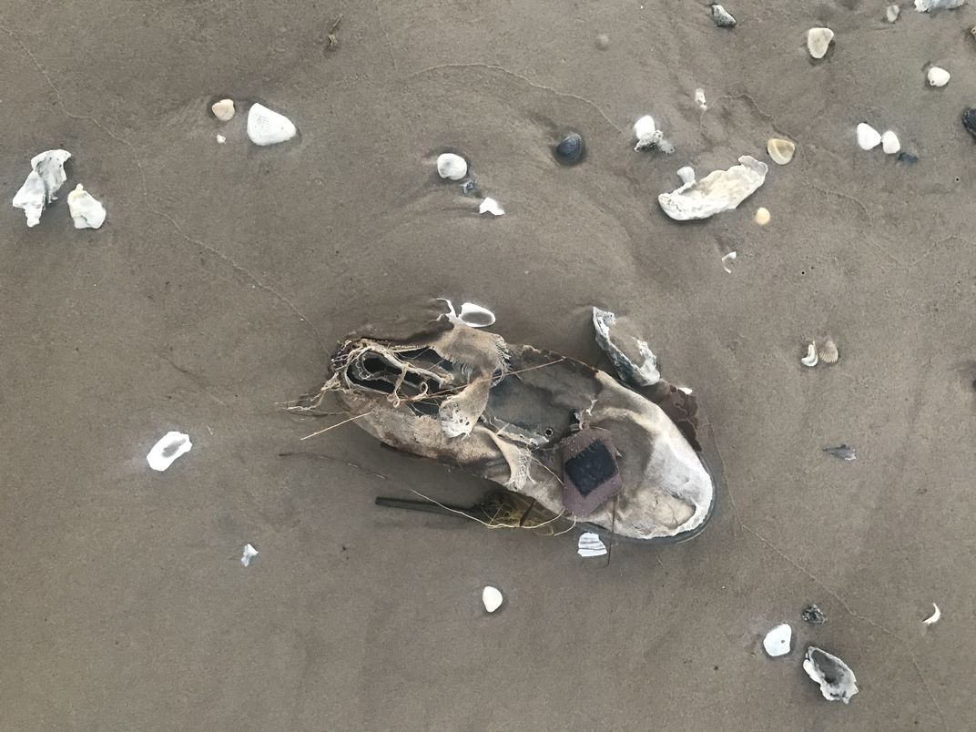 Shell among Shells | Smithsonian Photo Contest | Smithsonian Magazine