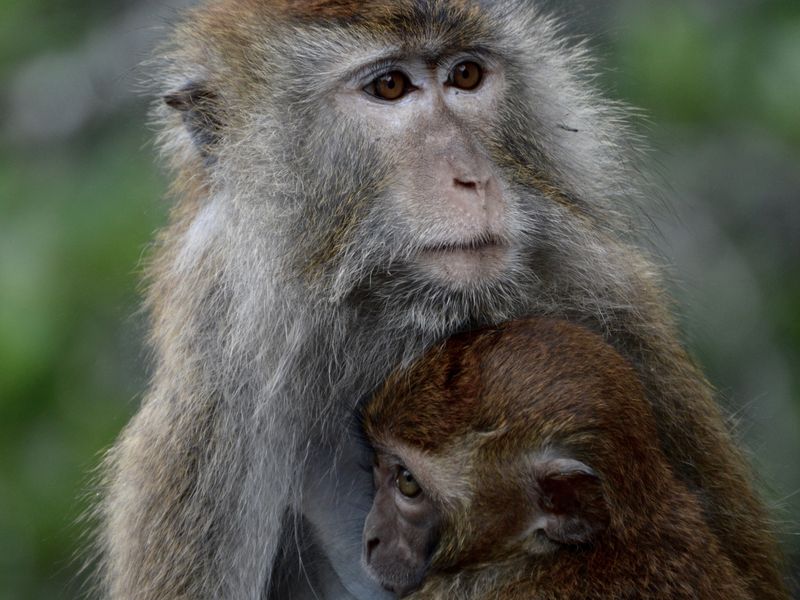 Nature vs Nuture | Smithsonian Photo Contest | Smithsonian Magazine