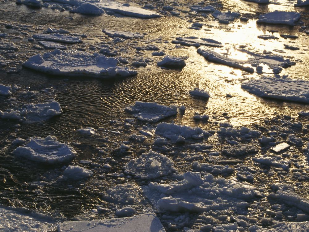 Antarctic Winter Sea Ice Hits a Record Low 'by a Wide Margin'